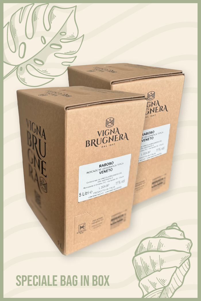 Speciale Bag in Box (pacchetti da 2) - Vigna Brugnera